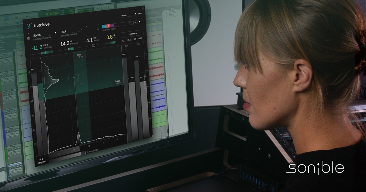 true:level - sonible - Learn how to use its main features